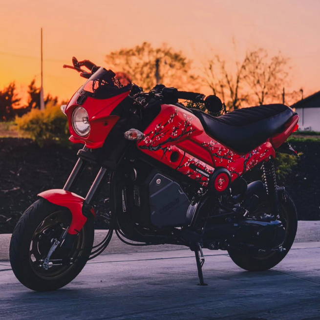 2022-2025 NAVI GRAPHICS – SEVENTY SEVEN DECALS LLC