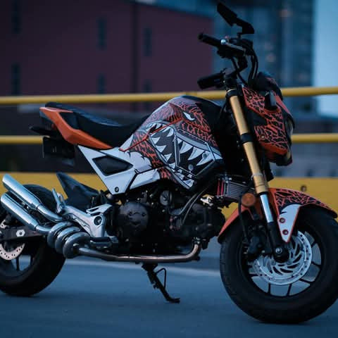 Grom 2017-2020 The Shark (Orange) Theme – SEVENTY SEVEN DECALS LLC